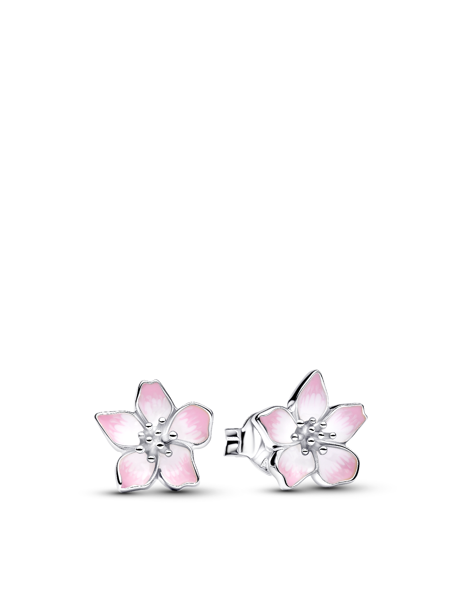 Cherry Blossom full collection set | Pandora US