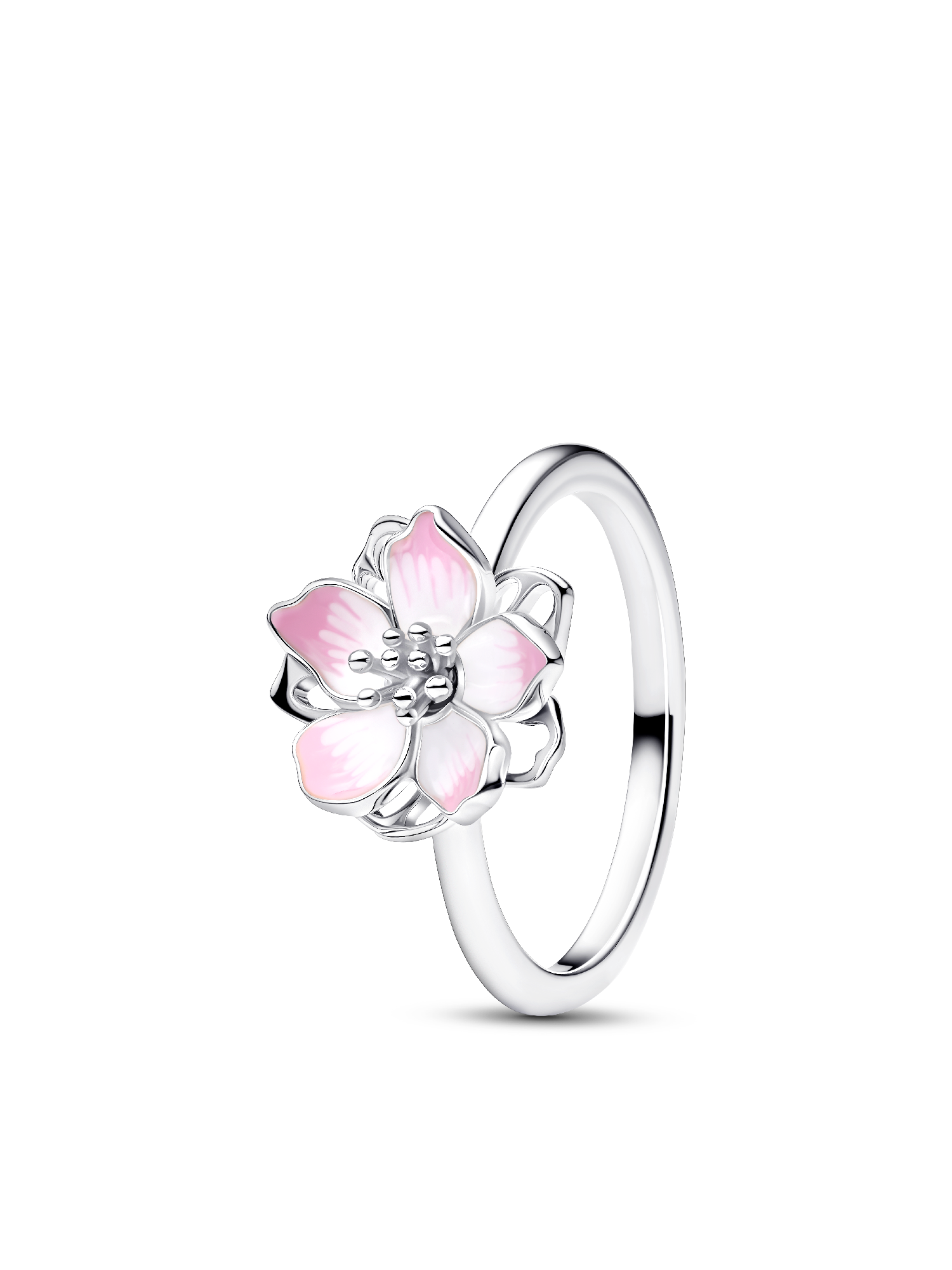 Cherry Blossom full collection set | Pandora US